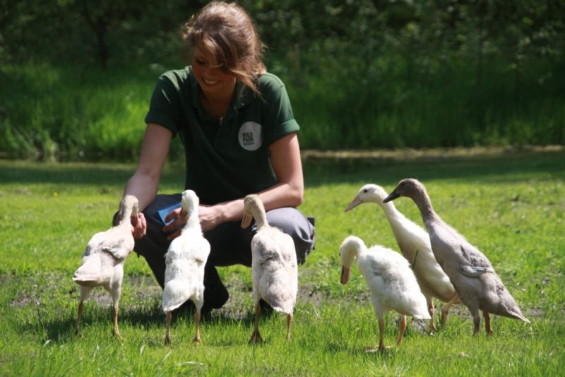 Ausbildung zum Tierpfleger Fachrichtung Zoo - Wildpark Müden