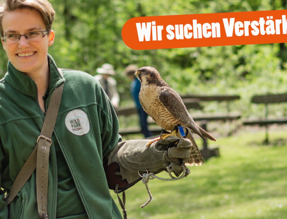 Ausbildung 2025: Tierpfleger/in - Fachrichtung Zoo (m/w/d) - Wildpark Müden